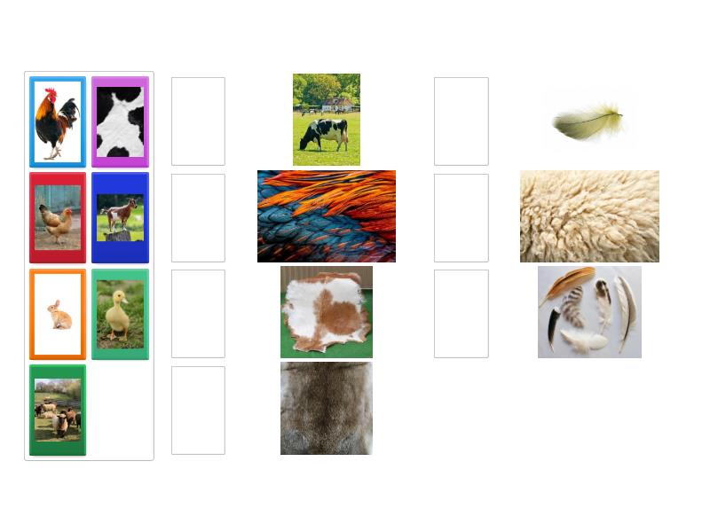 farm animals skin matching - Match up