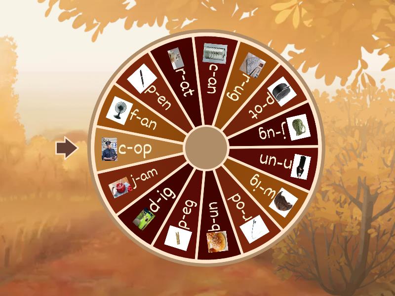 Onset and rime - wheel - MEIE - Spin the wheel