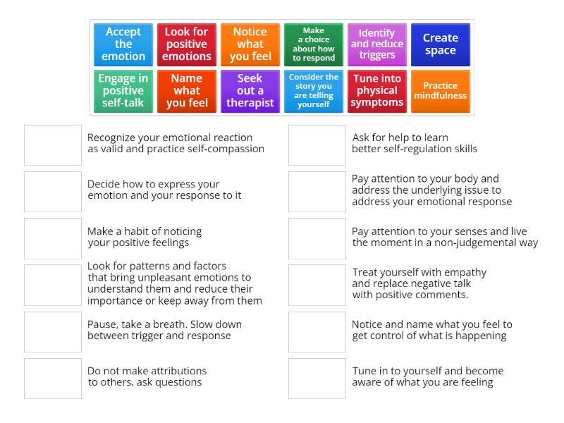 Emotional Regulation: Skills, Exercises and Strategies - Match up