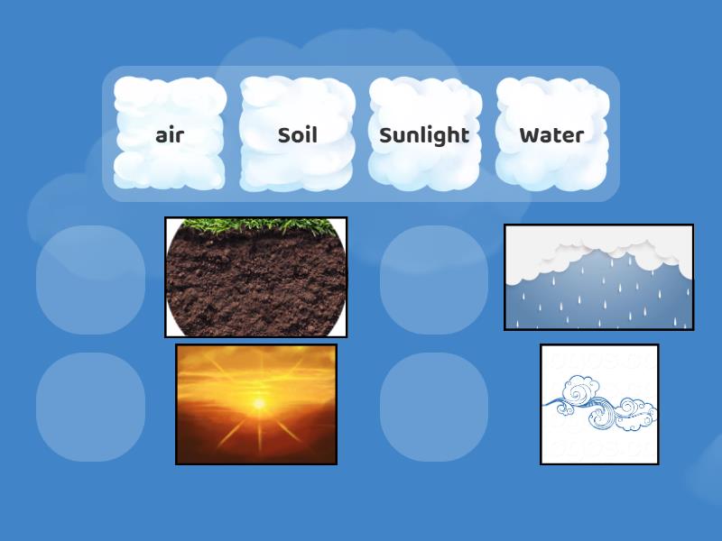 Plants needs - Match up