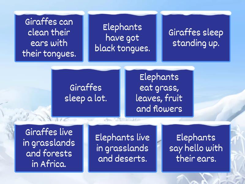 PT4 Unit 2 Wild Animals Wider World True or False - Flip tiles