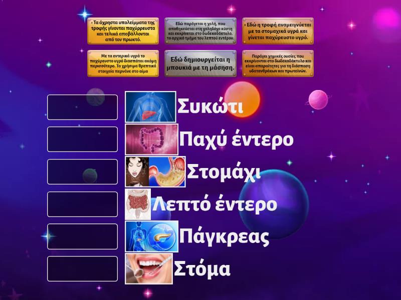 φυσικη ε δημοτικου πεπτικο συστημα - Αντιστοίχιση