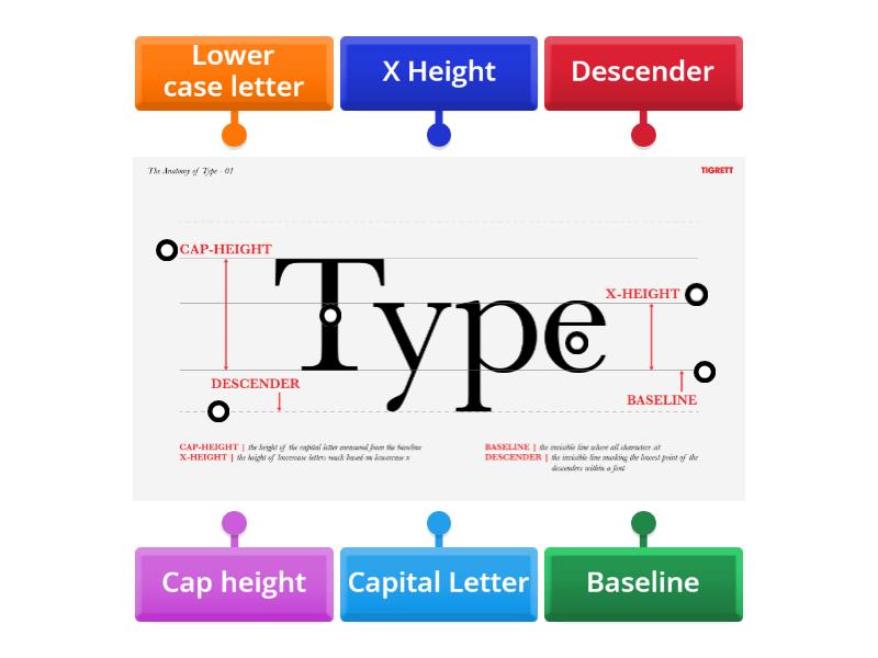 Anatomy of Type - Labelled diagram