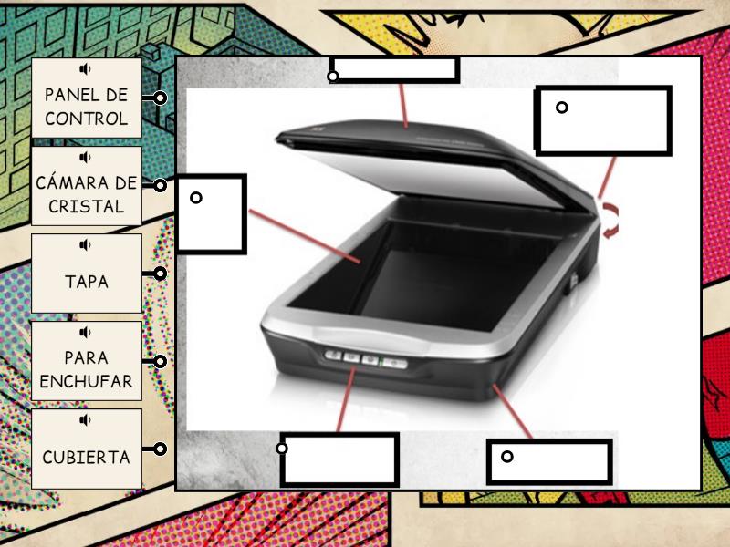 PARTES DEL SCANNER - Diagrama con etiquetas