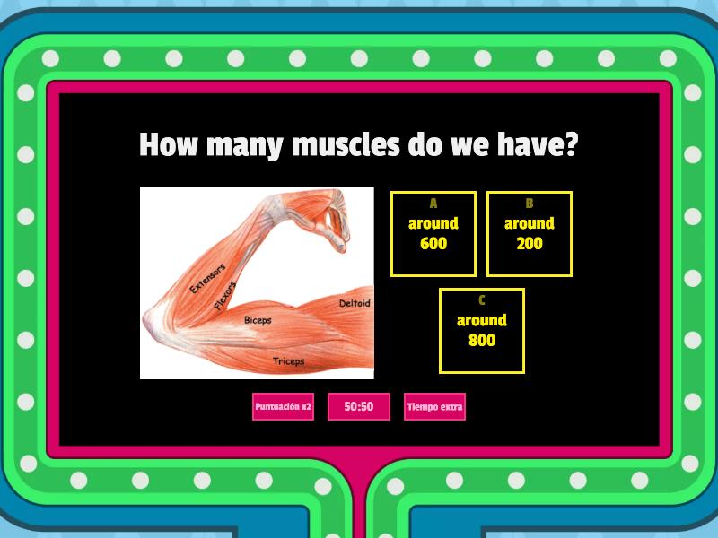 muscular system - Gameshow quiz