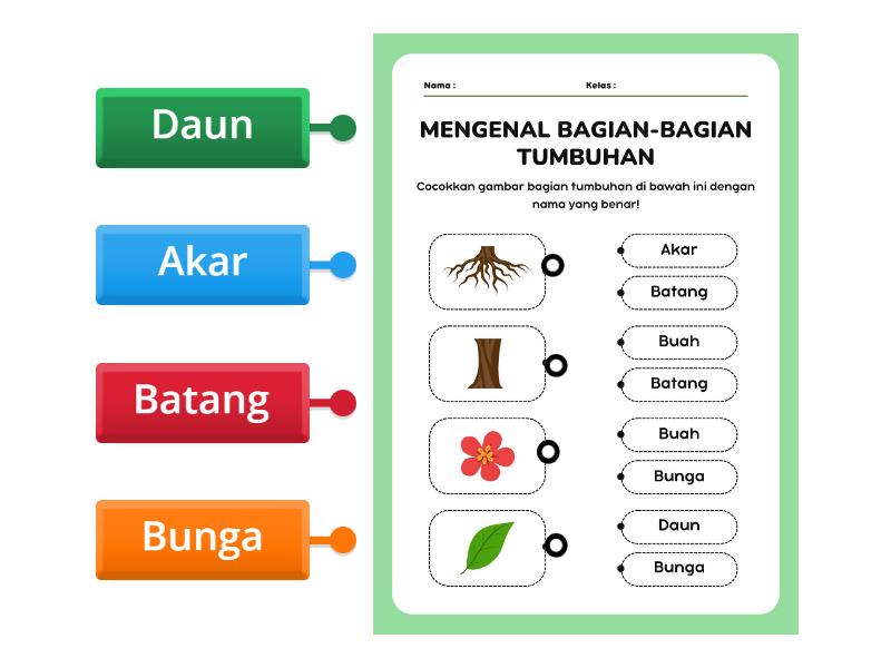 IPAS - Labelled diagram
