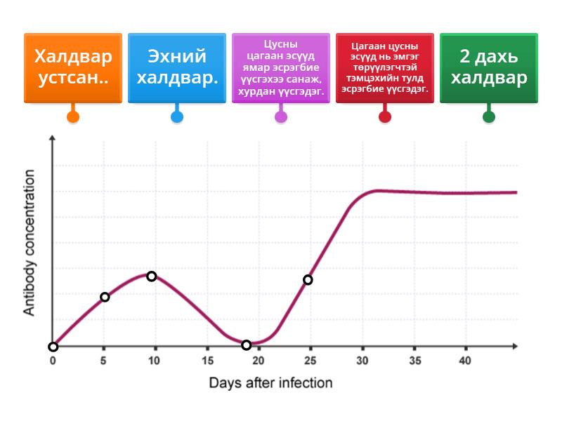 Antibody pattern - Labelled diagram