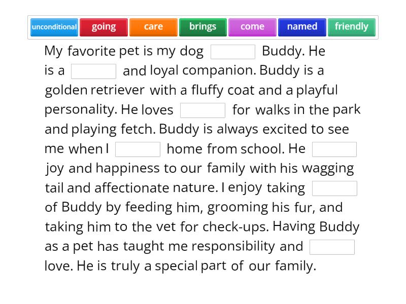My Favorite Pet-Reading grade 6 - Complete the sentence