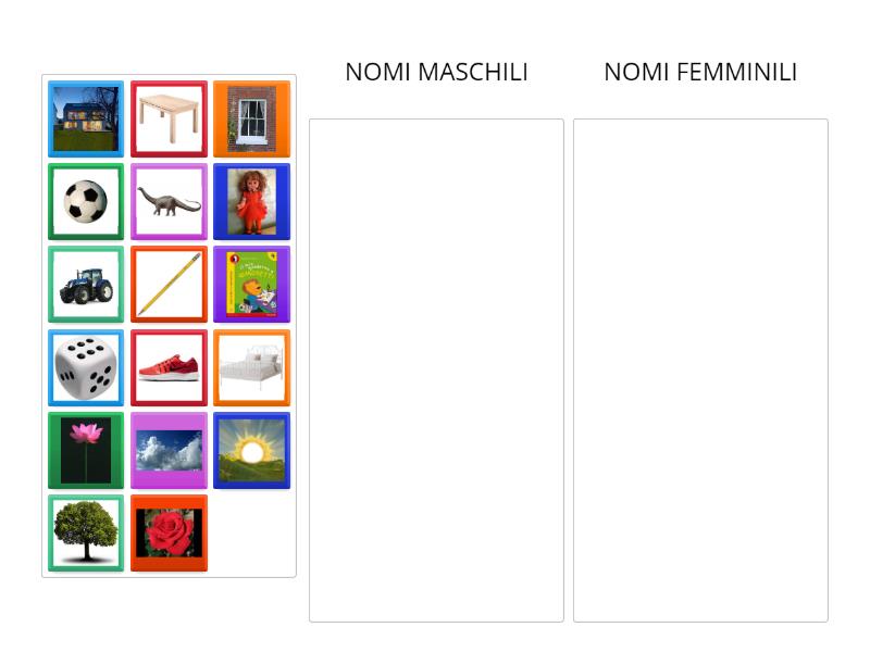 NOMI MASCHILI E FEMMINILI - Categorize