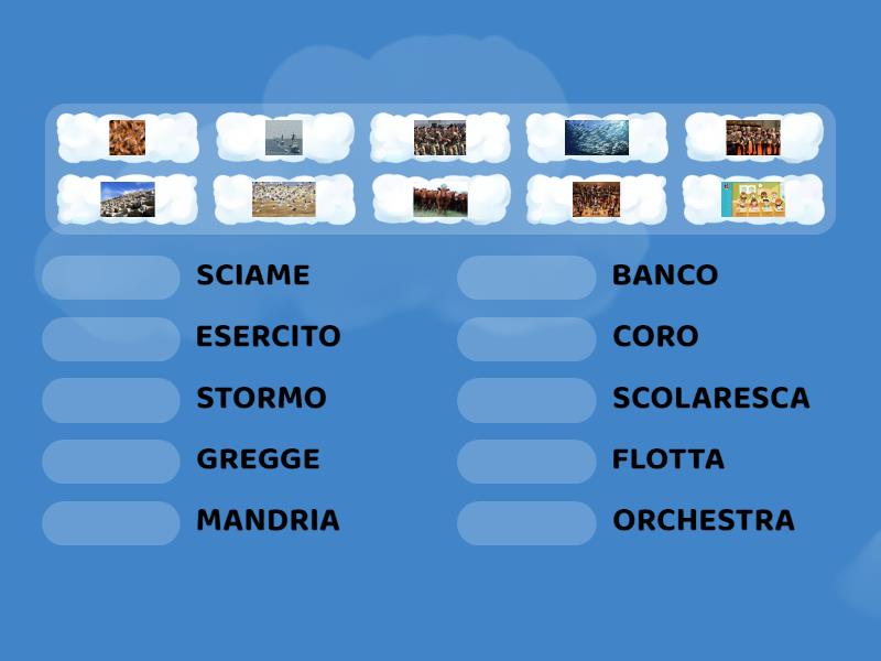 NOMI COLLETTIVI - Match up