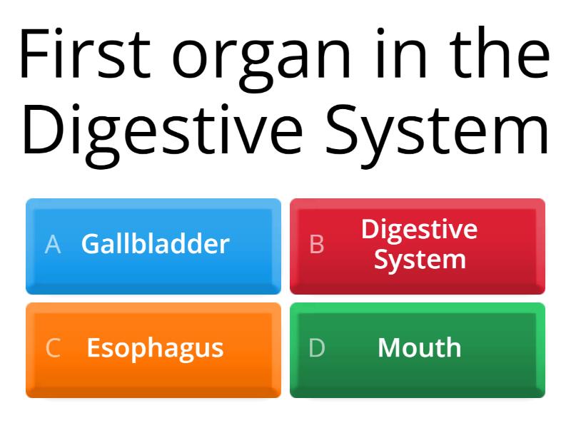 DIGESTIVE SYSTEM - Quiz
