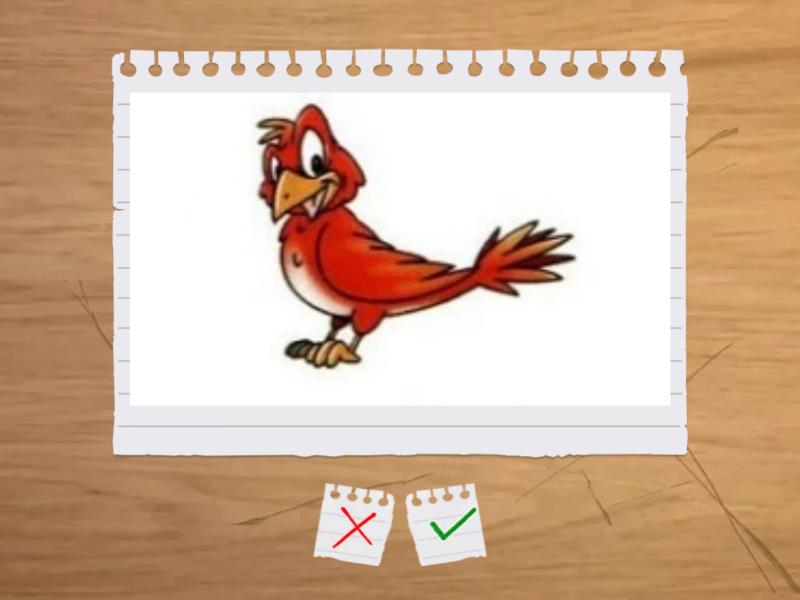 animals starter - Flash cards