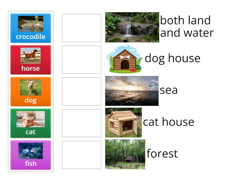 Find My Habitat - Match up