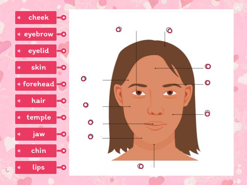 Face - Labelled diagram