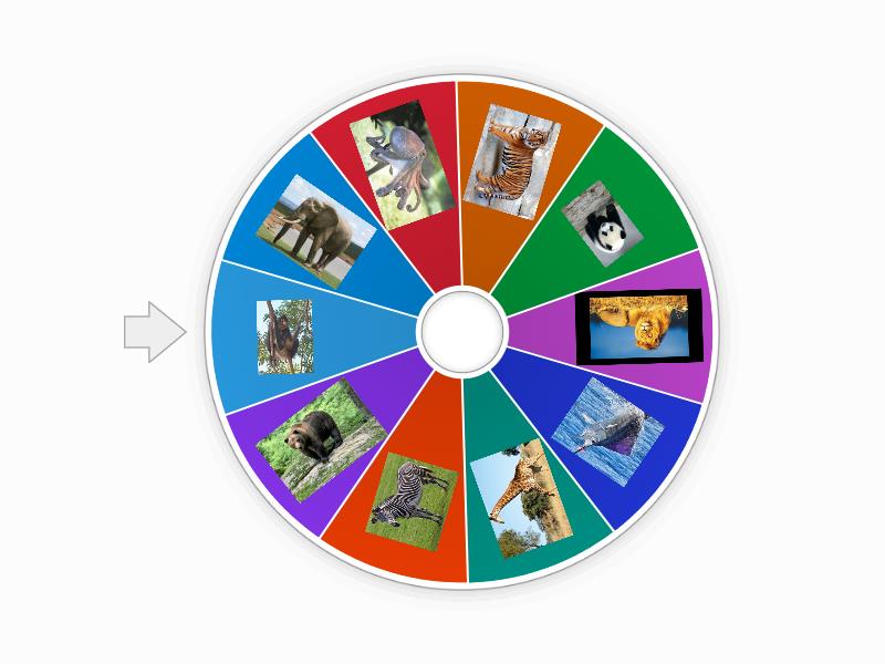 Zoo animals - Spin the wheel