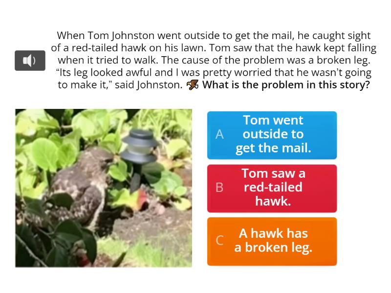 Red-Tailed Hawk Soaring (Comprehension) - Quiz