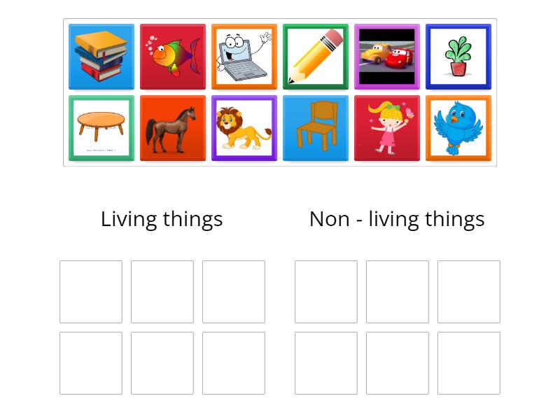 Living and Non living things Match and Drag - Group sort