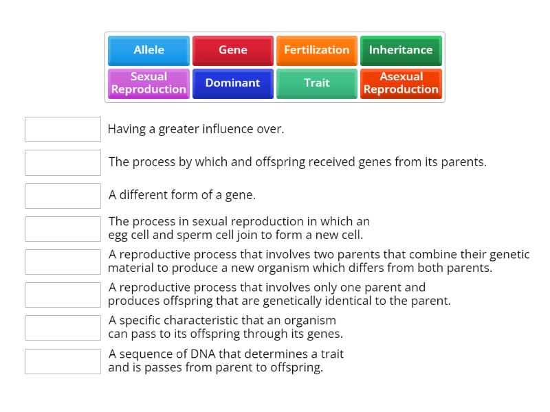 Patterns of Reproduction Vocabulary - Match up