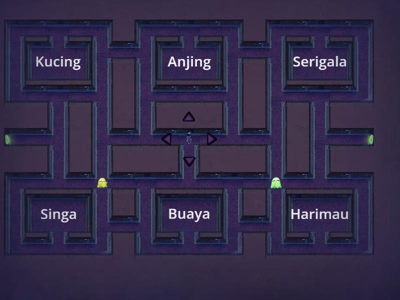 Penggolongan Hewan Berdasarkan Makanannya - Pengejaran dalam labirin