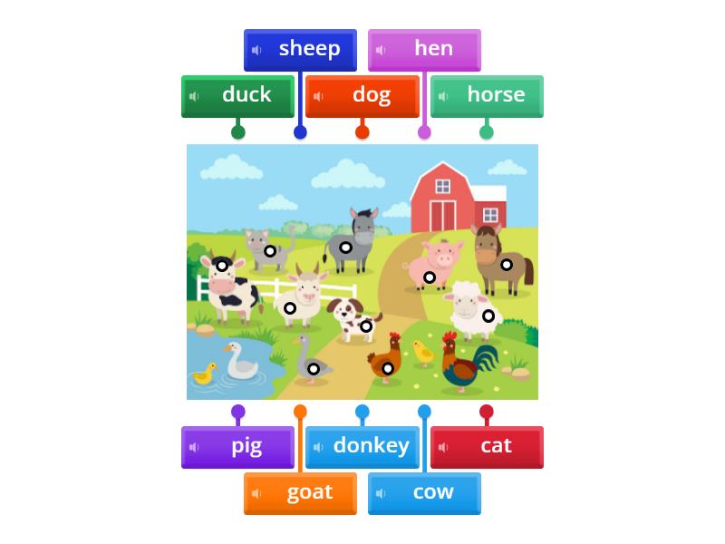 Farm animals - Labelled diagram