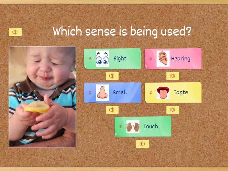 Five senses - Quiz