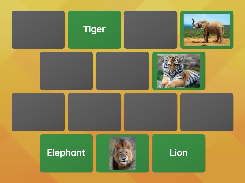 Animals Matching - Matching pairs