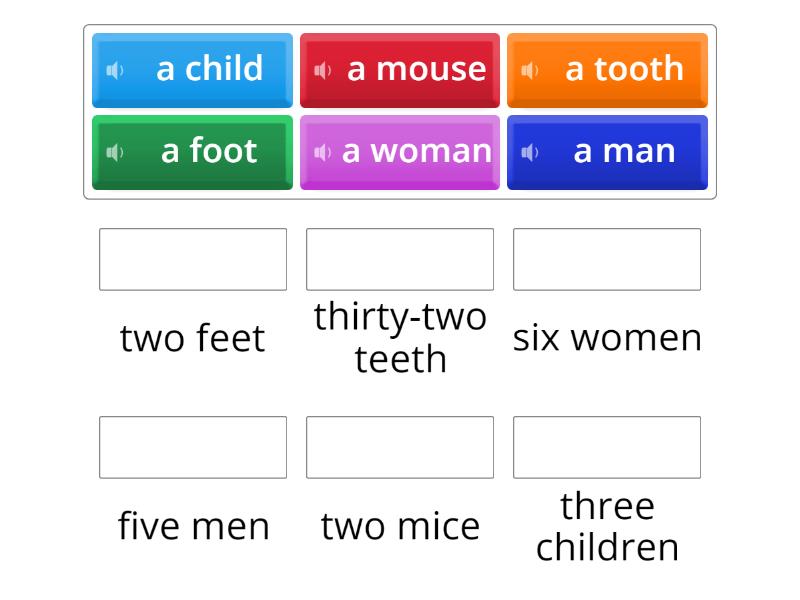 Irregular singular and plural nouns - Match up