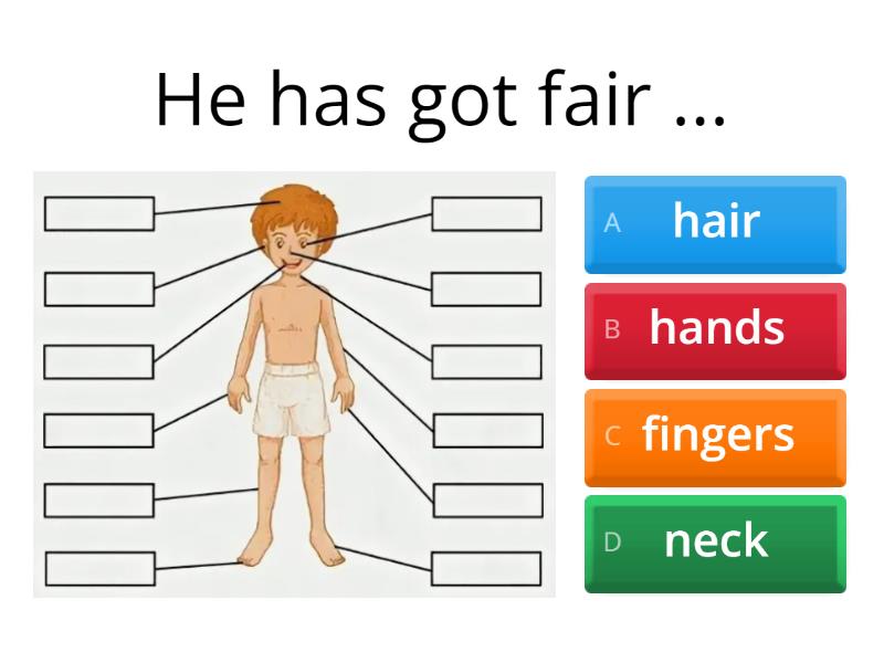 Parts of the body revision +have/has got - Quiz