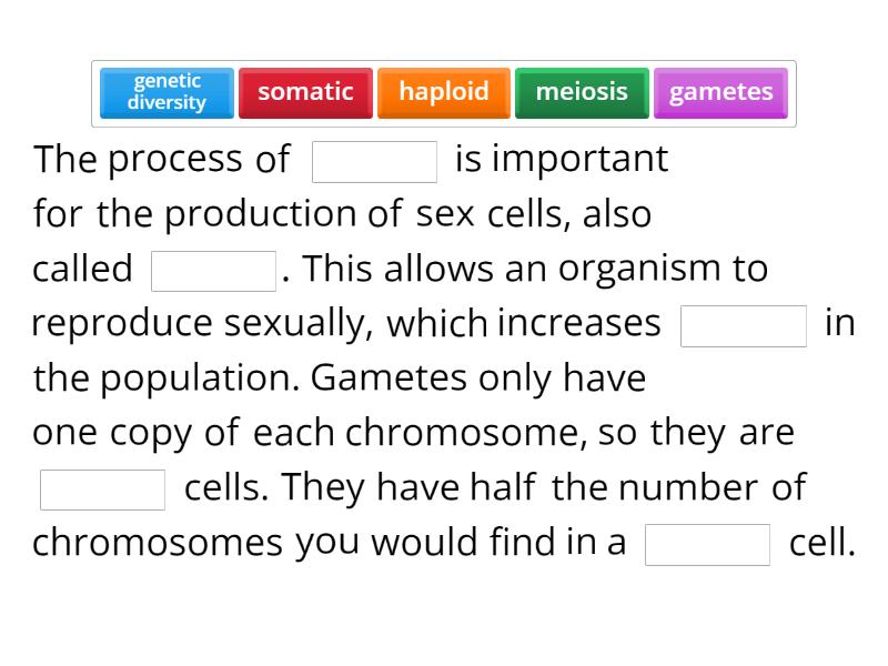 Meiosis Summary - Complete the sentence