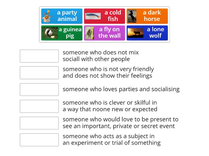 Animals - idioms - Match up