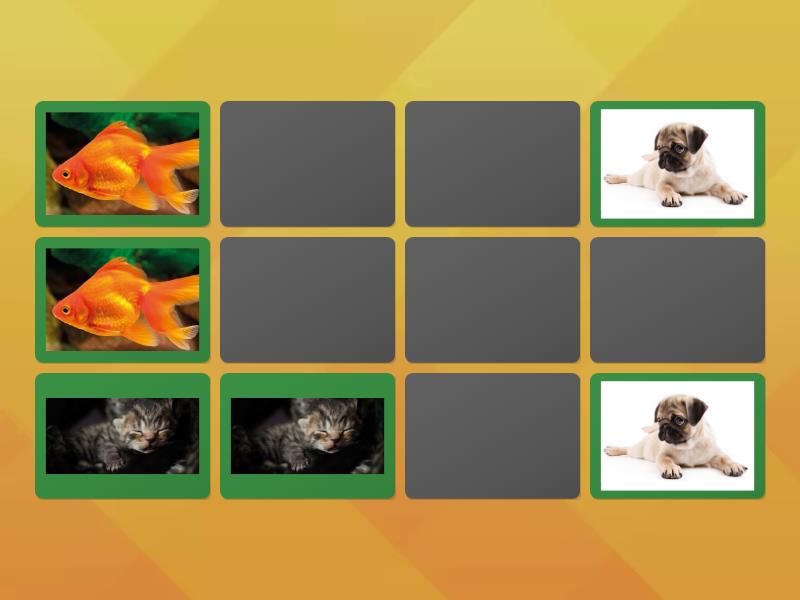 Match the animals - Matching pairs