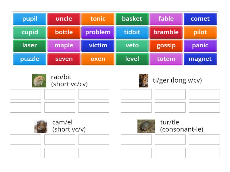 Rabbit/Tiger/Camel/Turtle - Group sort