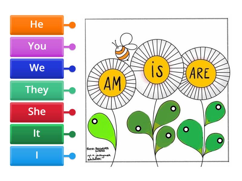 Match the personal pronouns with the corresponding flower. - Labelled ...