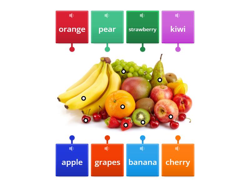 Fruit - Labelled diagram