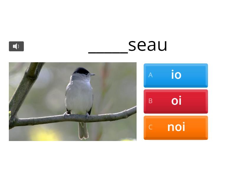 Les syllabes avec le son OI - Cuestionario
