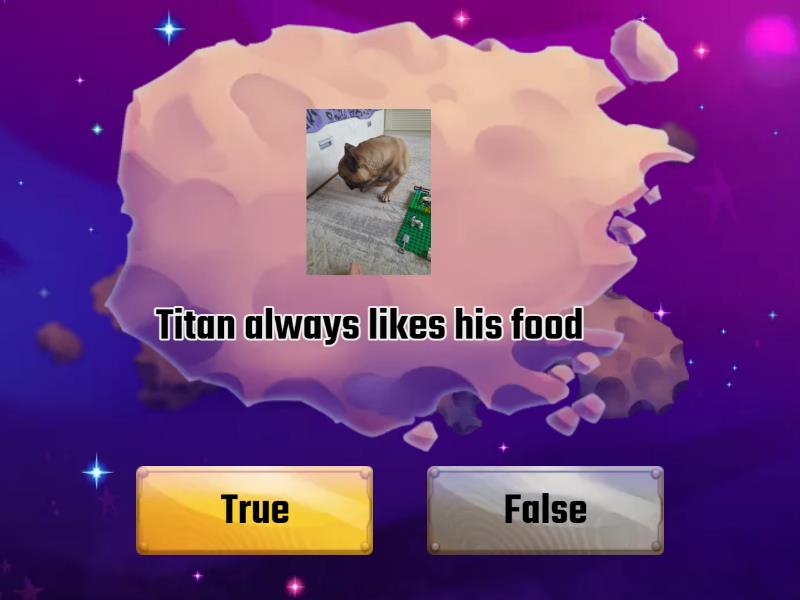 Pets - True or false