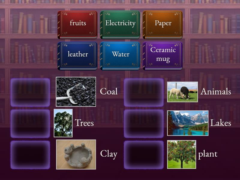 Natural resources - Match up