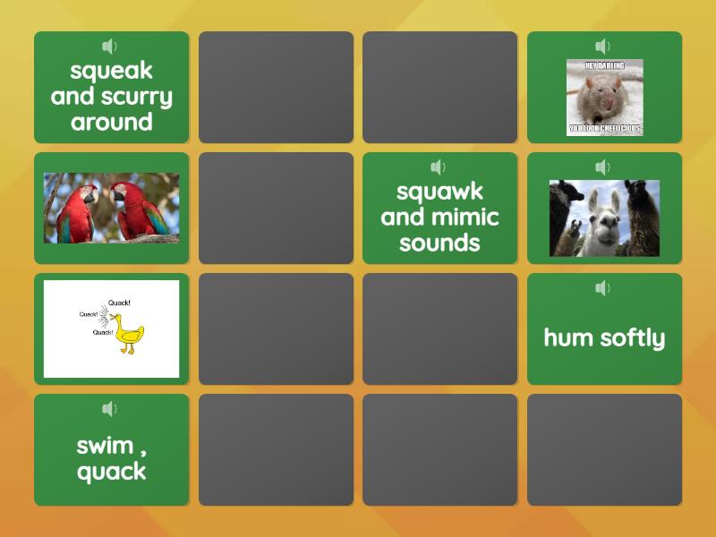 Animals sounds - Matching pairs