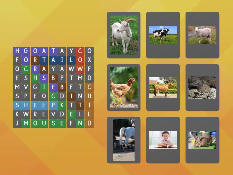 In the Countryside - Wordsearch