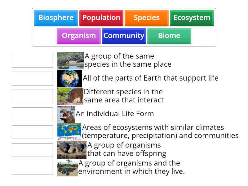 Ecological Levels of Organization Concept Check - Match up