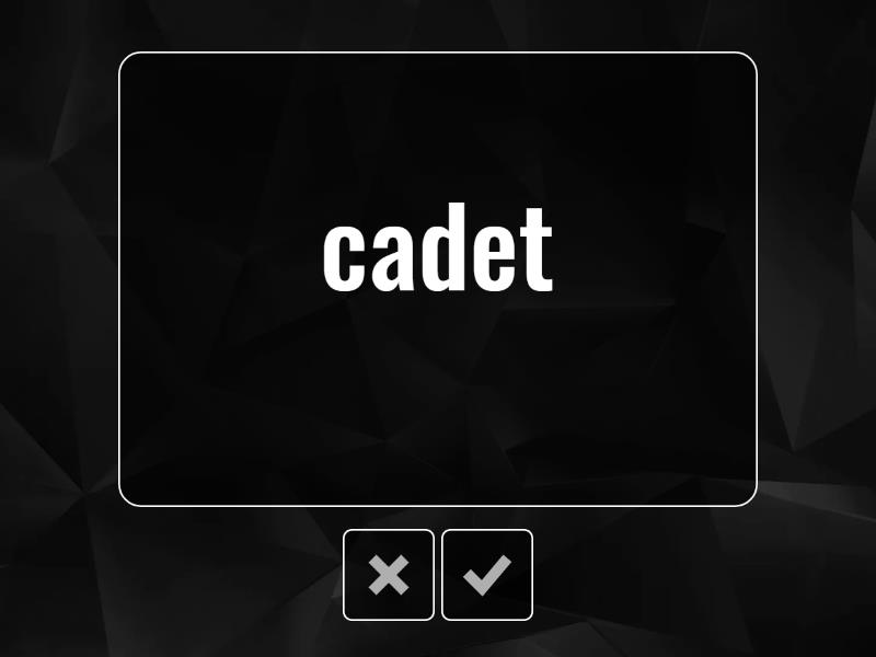 Les adjectifs 1 - Flash cards