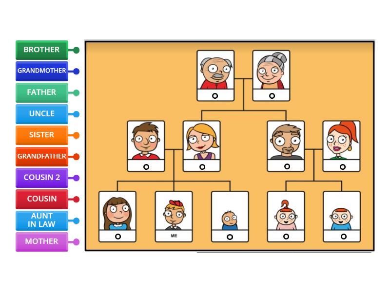 Wordwall: FAMILY TREE - Imagem com legenda