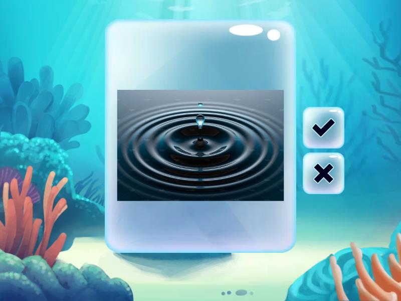 PAROLINE IN INGLESE - Flash cards