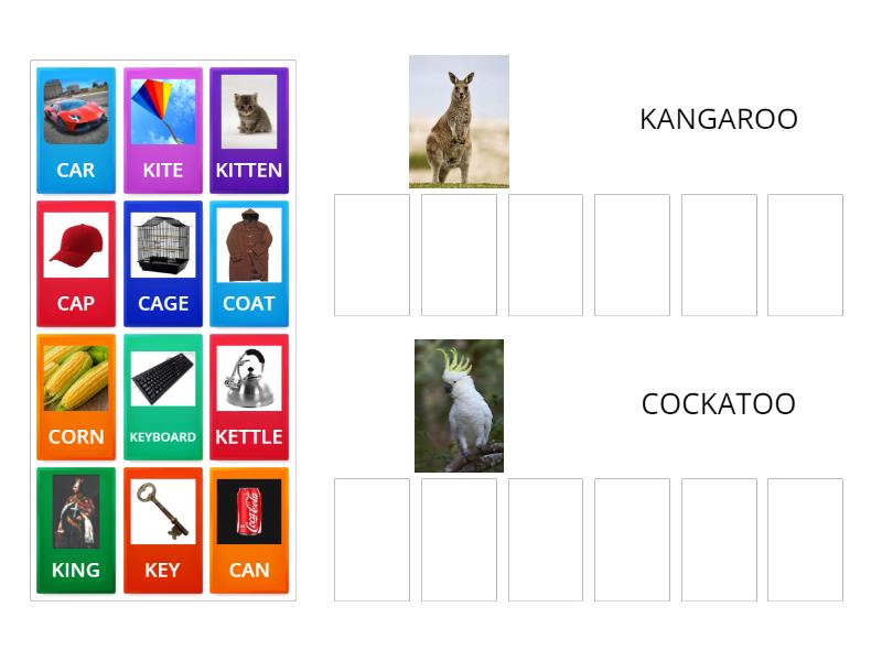 LETTERS K AND C GROUPS - Group sort