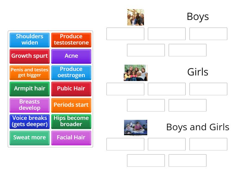 Changes During Puberty - Group sort