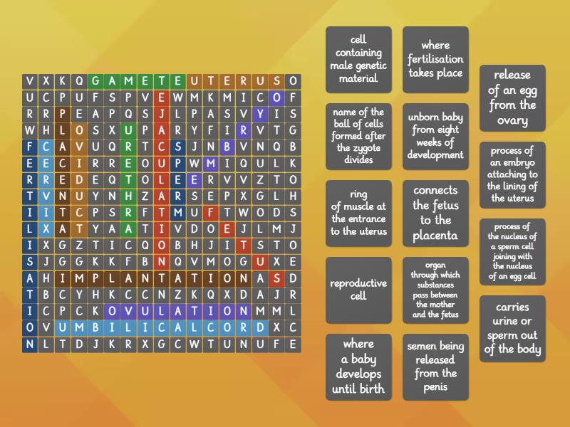 S2 Reproduction revision - Wordsearch