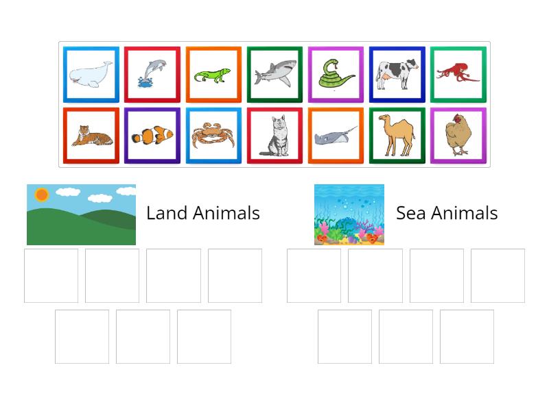 Land and Sea Animal Sorting Activity - Group sort