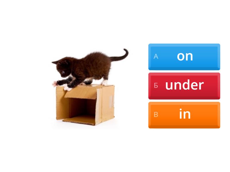 in, on, under - Quiz