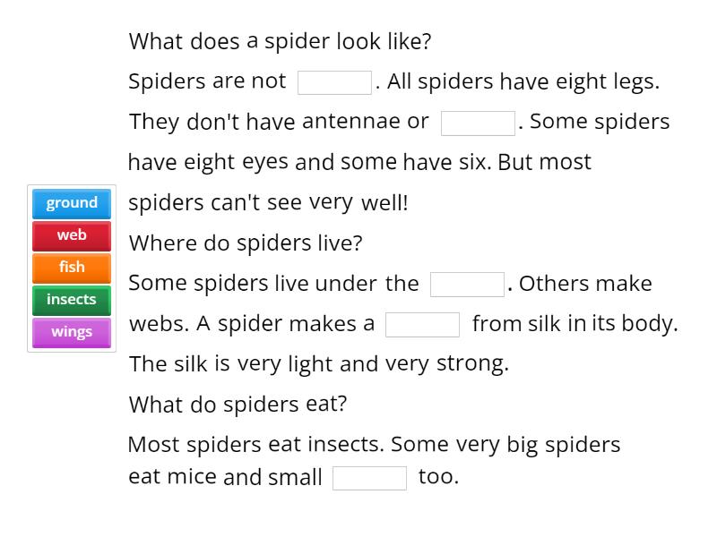 Spiders - Complete the sentence