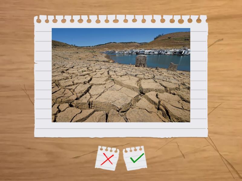 natural disasters - Flash cards